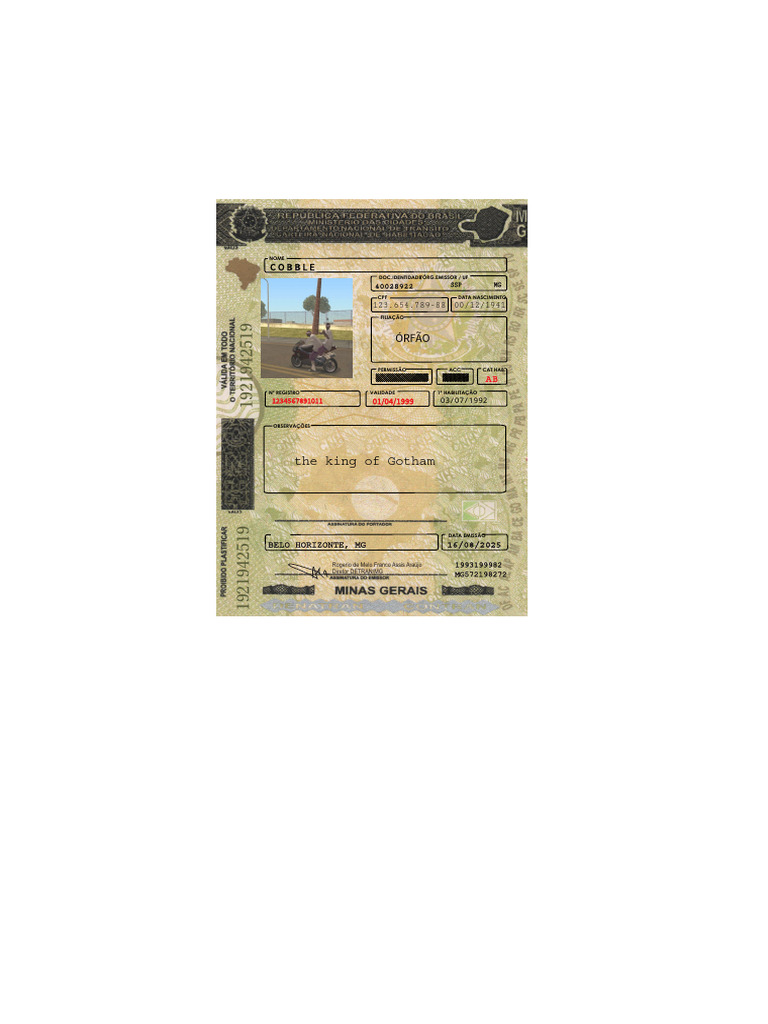 CNH Minas Gerais | PDF