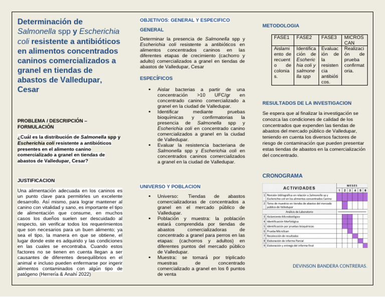 Devinson Bandera Contreras | PDF