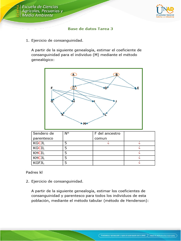 Base de Datos- Tarea 3 (1) | PDF