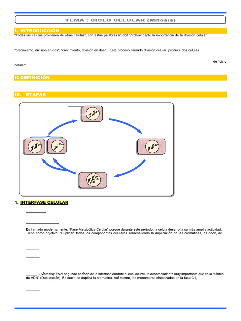 CICLO CELULAR | PDF
