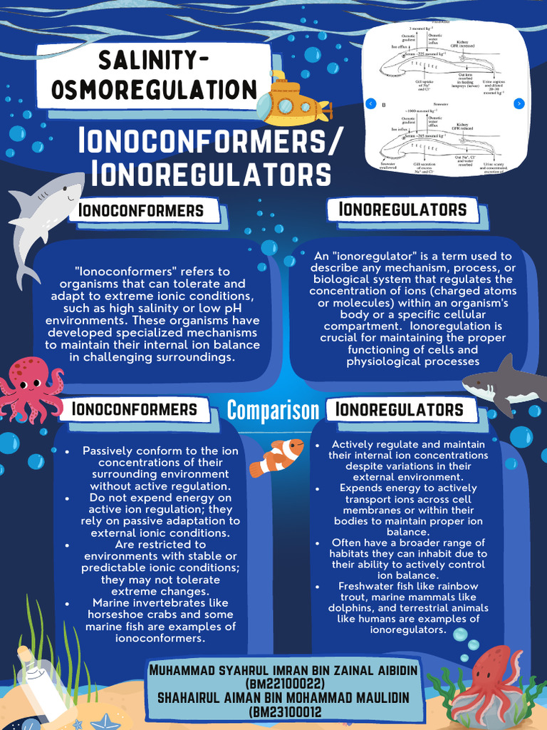 osmoregulation-ionoconformes ionoregulator | PDF