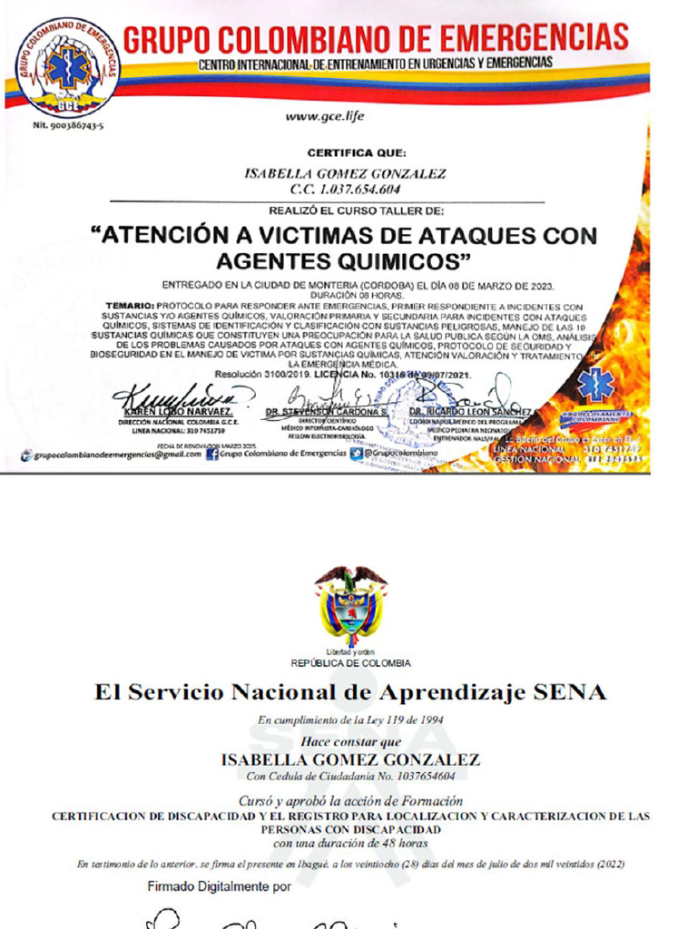 CERTIFICADOS ACADEMICOS COMPLEMENTARIOS | PDF