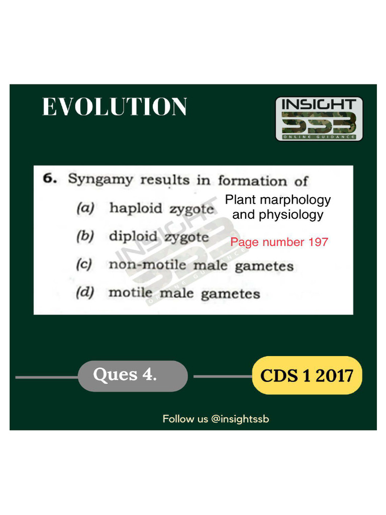 Plant Marphology | PDF