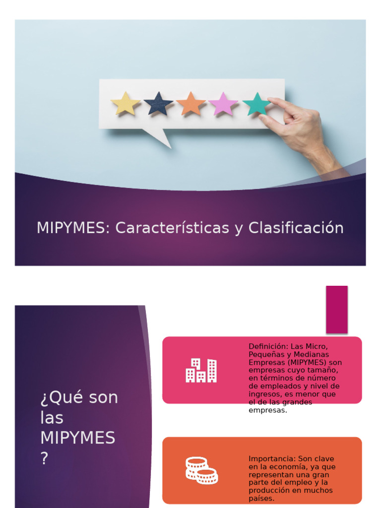 MIPYMES Caracteristicas y Clasificacion | PDF