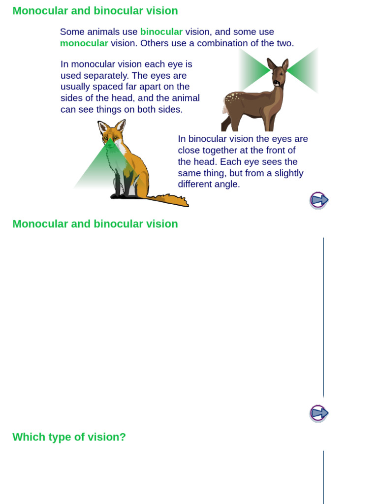 Different Visions | PDF