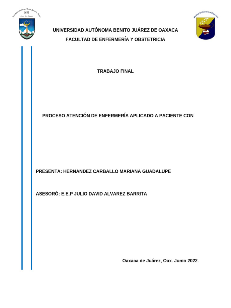 Pae Trabajo Final | PDF