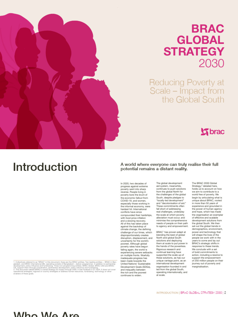 BRAC Global Strategy 2030 | PDF