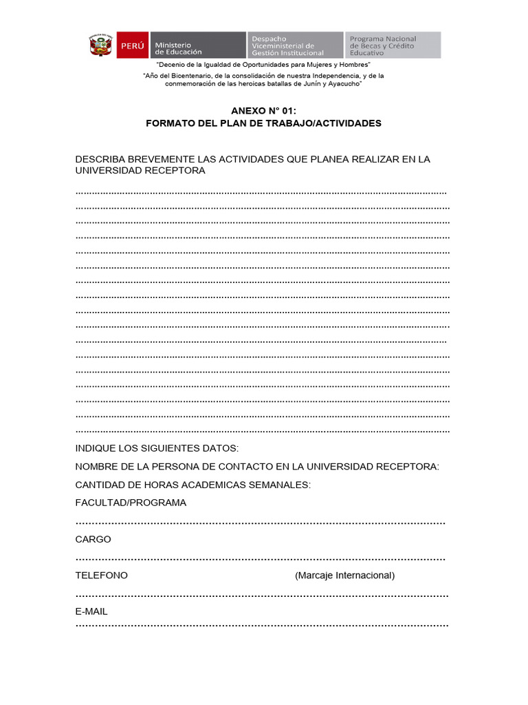 ANEXO N°01 | PDF