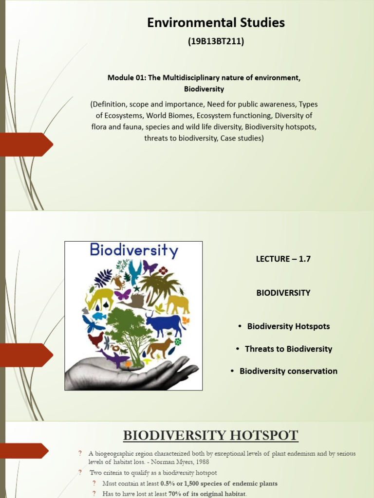EVS Audit Module 1.7 | PDF