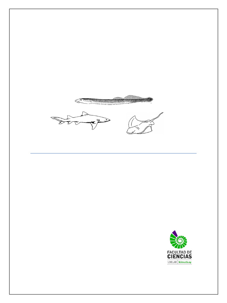 PraÌ Ctico 01 - REPARTIDO | PDF