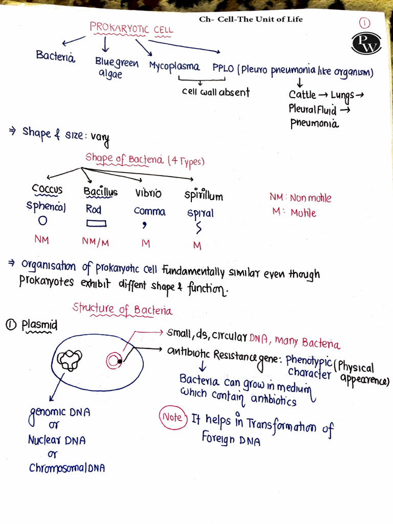 Cell - The Unit of Life 03 - Handwritten Notes - Arjuna NEET 2025 | PDF