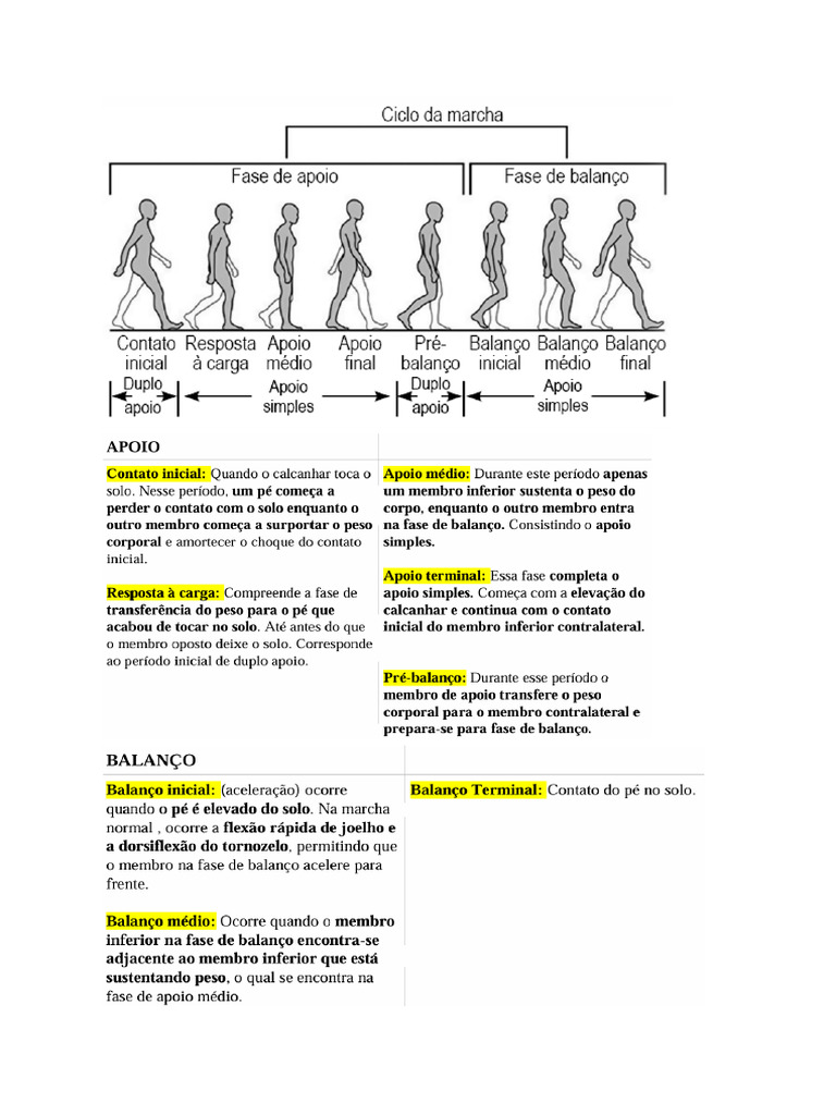 Fases Da Marcha | PDF