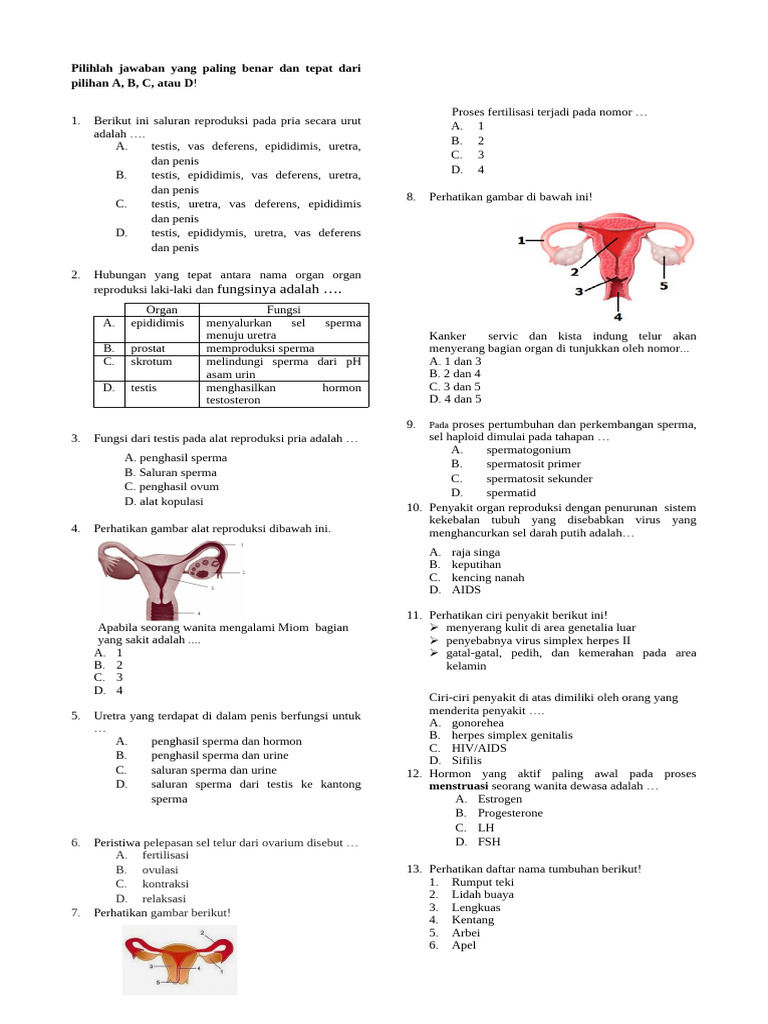 Latihan Soal Pas Ipa 9 Gasal | PDF