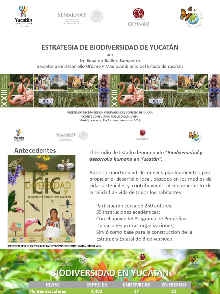 biodiversidad-yucatan | PDF