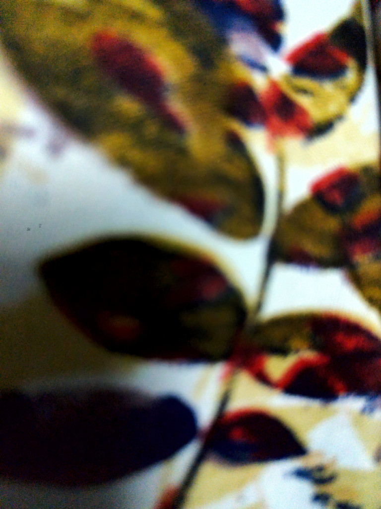 Leaf | PDF