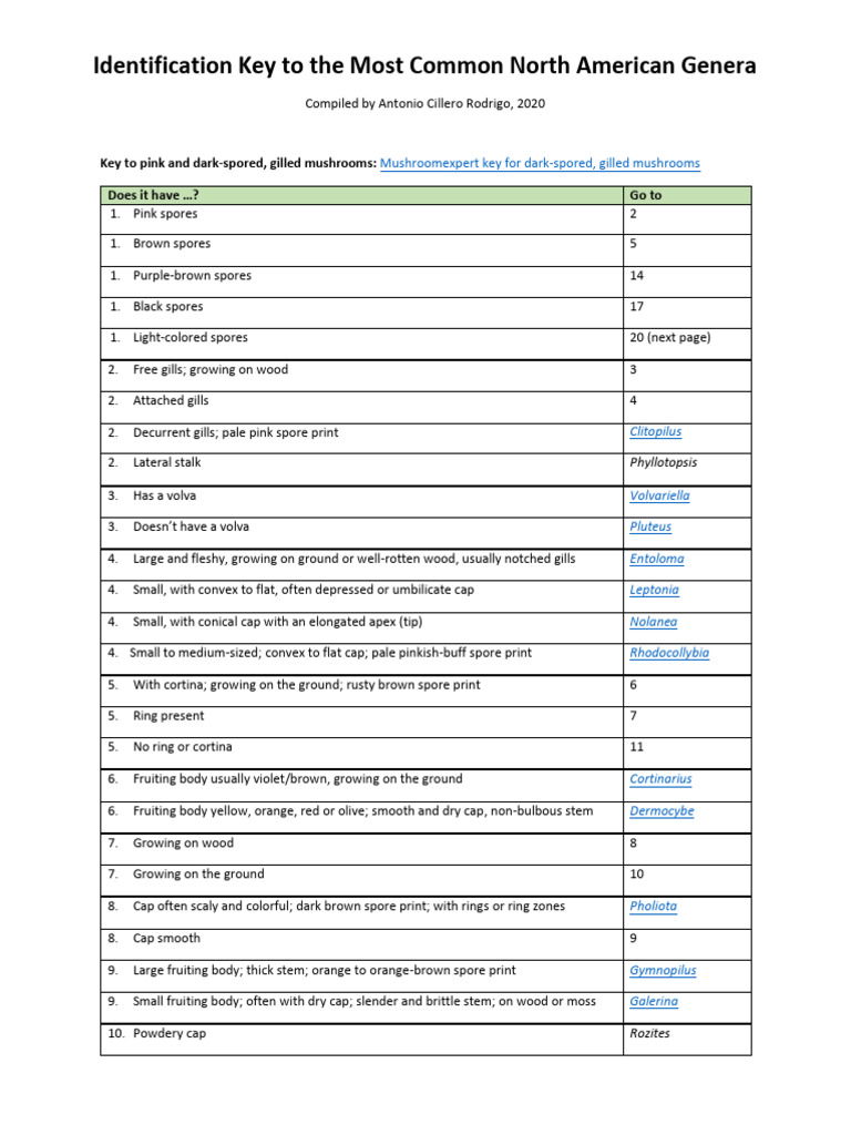 MST Identification Key | PDF