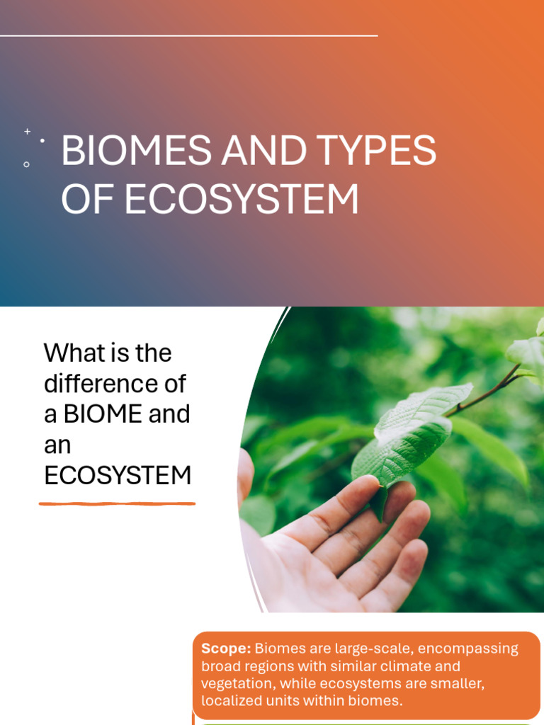 Lesson 2 Ecosystem Types and Biomes | PDF | Ecosystem | Rainforest