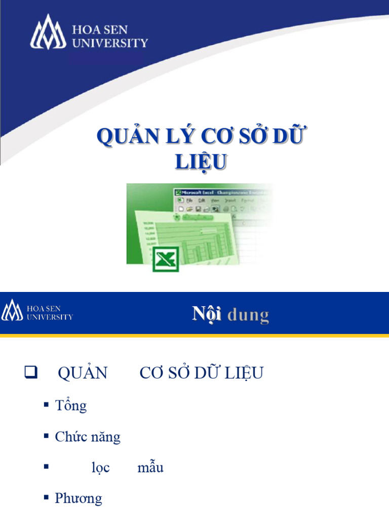 Quan Ly CSDL | PDF