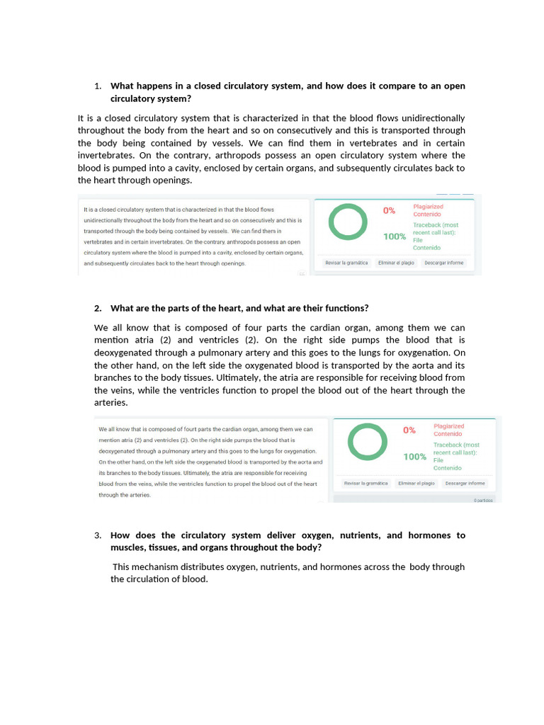 Circulatory System Explained | PDF | Heart | Human Body