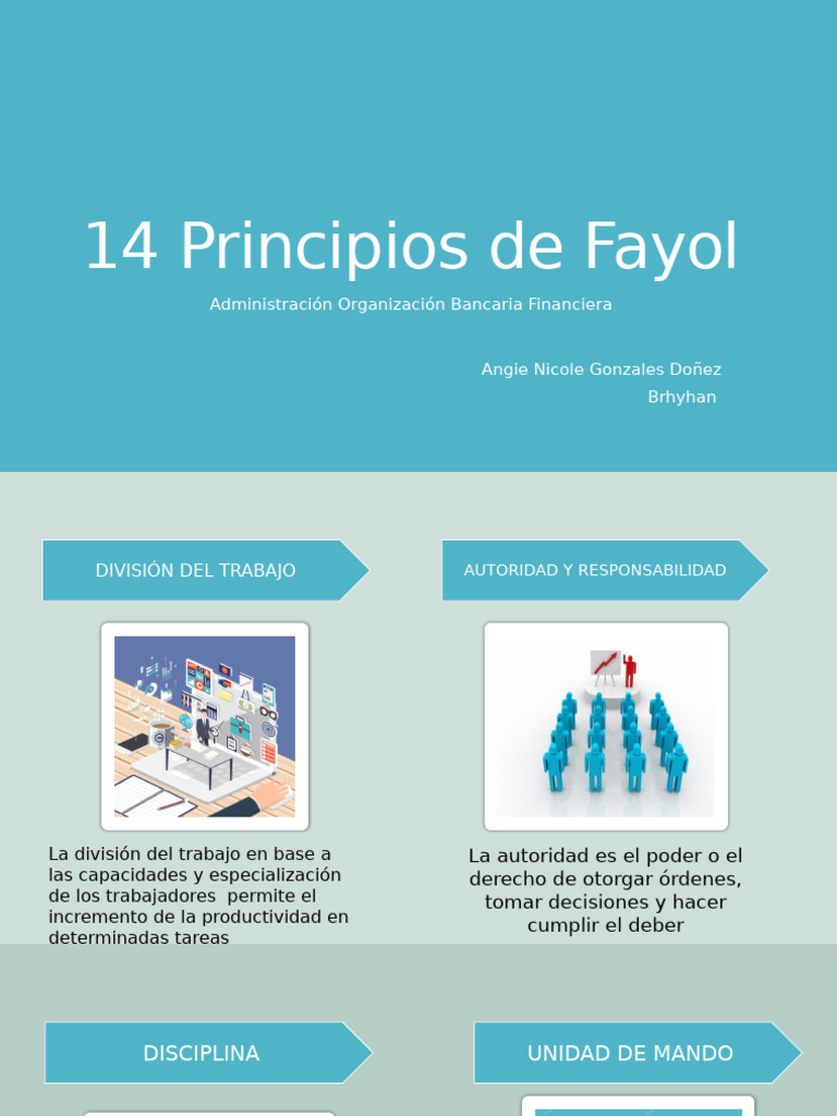 14 Principios de Fayol | PDF