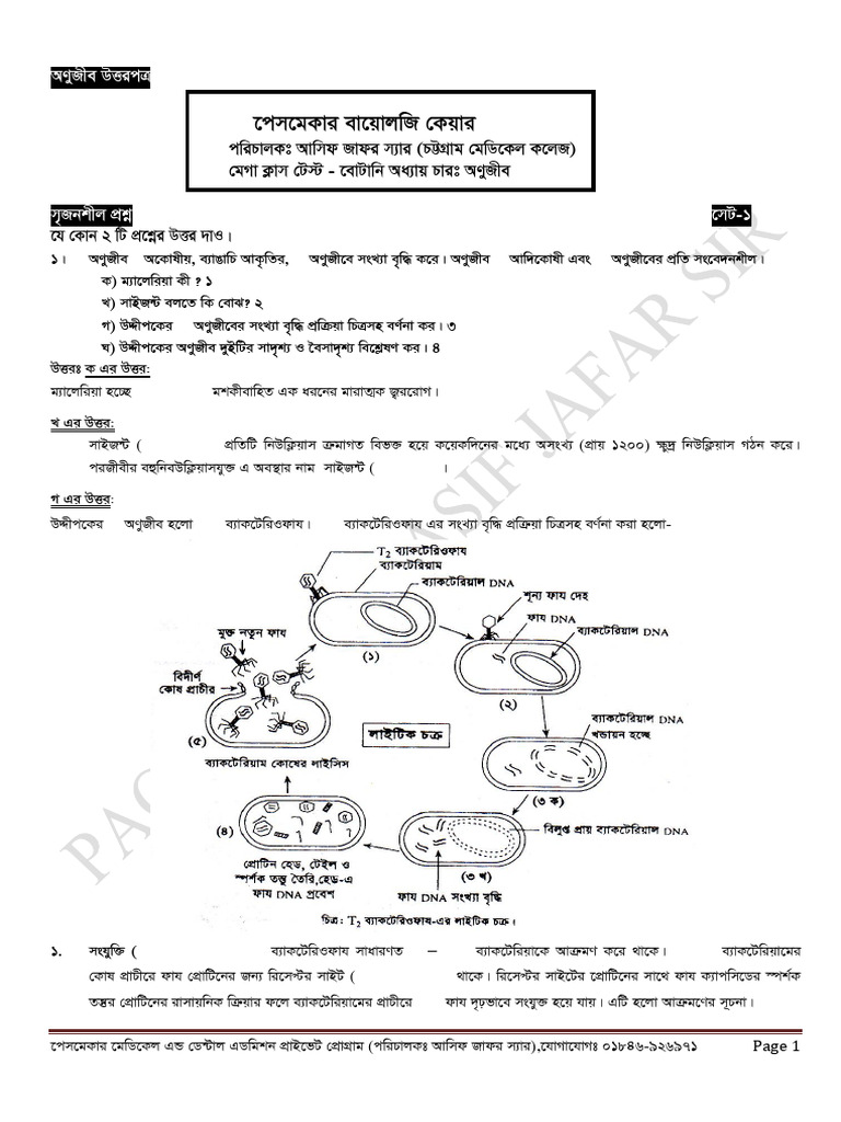 HSC CQ B4 Answer Set-1 & 2 | PDF | Biomolecules | Macromolecules