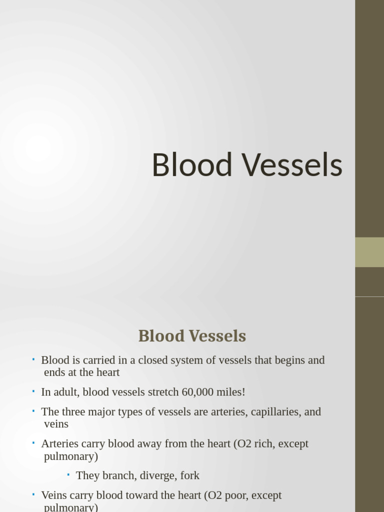 Blood Vessles Notes | PDF
