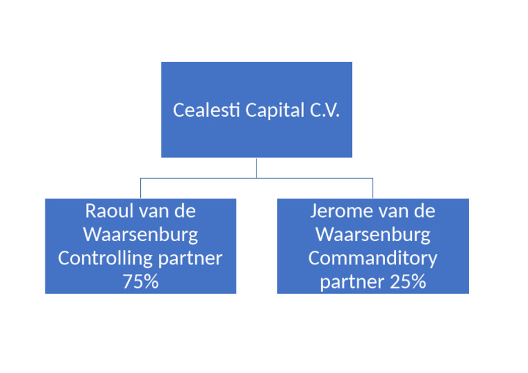 Orginizational Chart | PDF