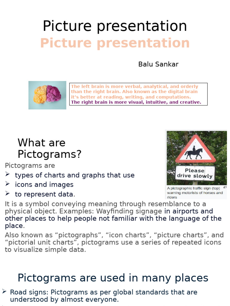 Picture Presentation 14 Slides | PDF