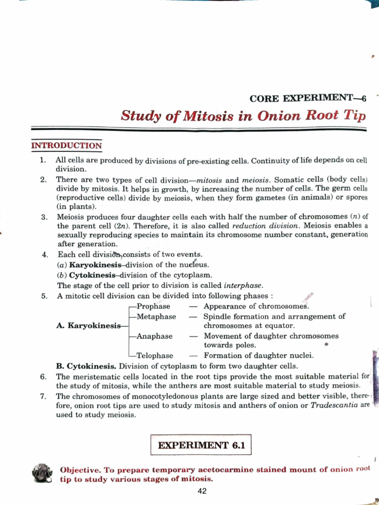 Experiment-4 | PDF