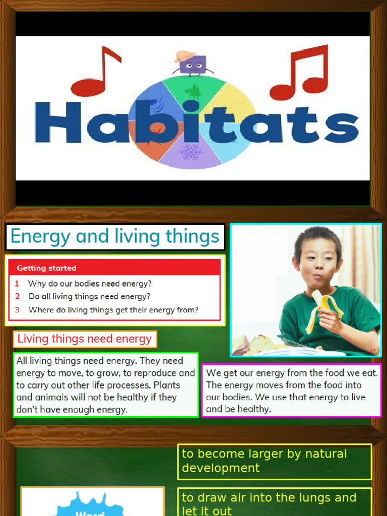 Energy and Living Things | PDF
