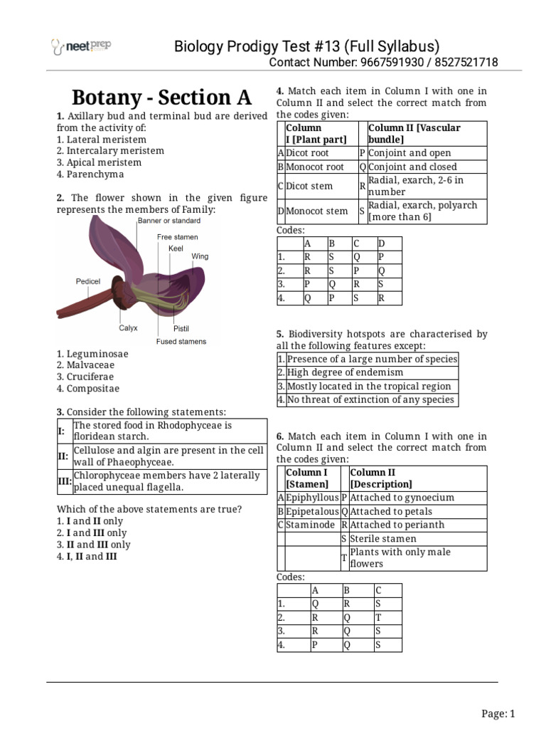 Biology Prodigy Test #13 (Full Syllabus) | PDF | Gene | Messenger Rna
