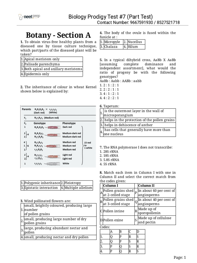 Biology Prodigy Test #7 (Part Test) | PDF | Dna | Gene