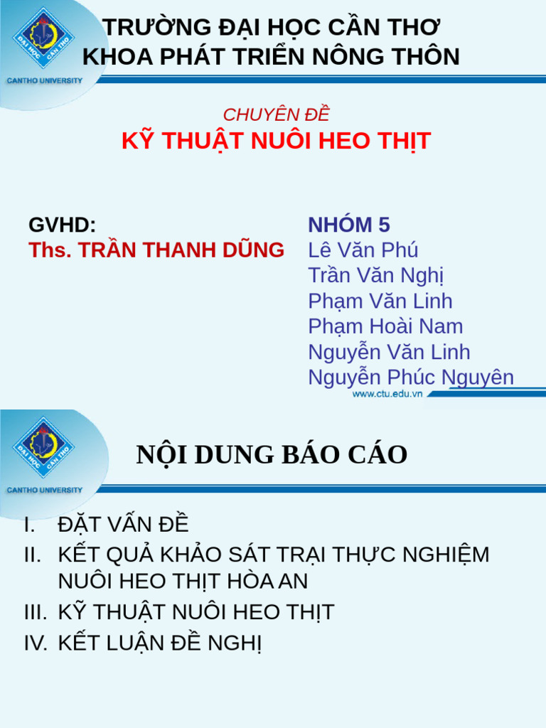 K - Thu-T Nuôi Heo TH-T | PDF