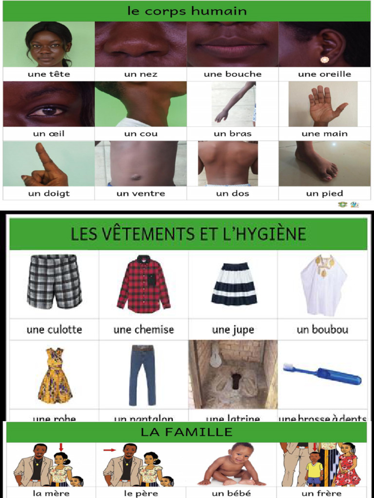 Les 12 Planches Thematiques | PDF