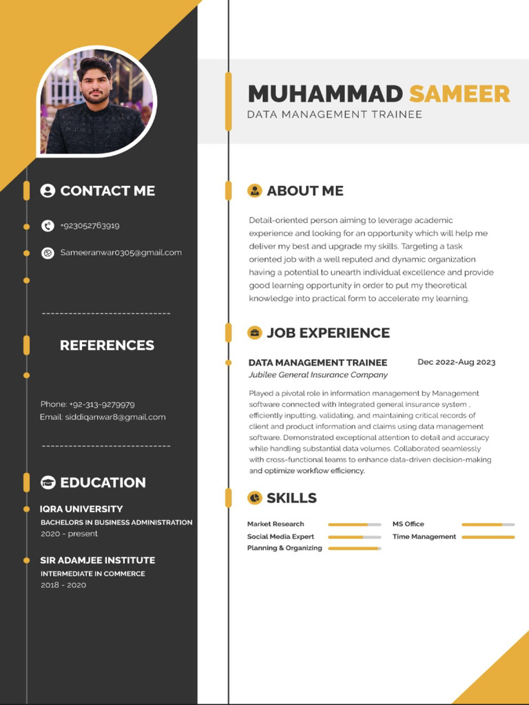 CV Sameer | PDF