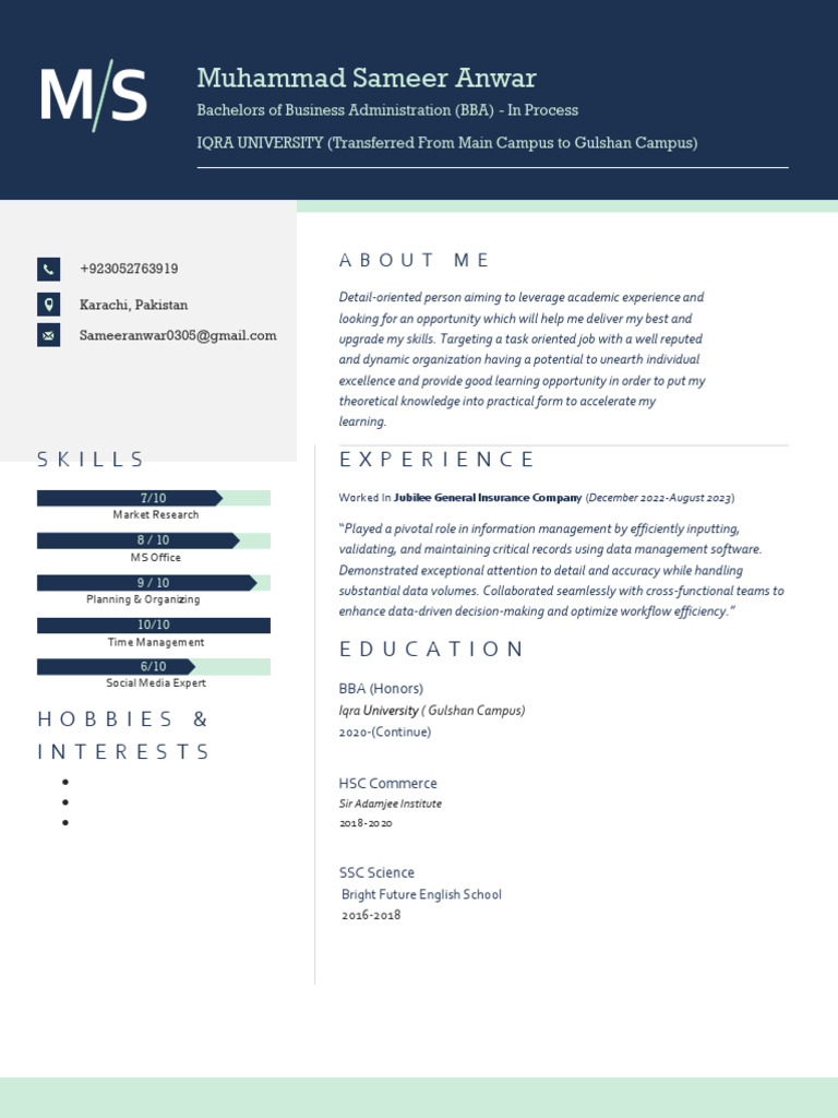 Sameer Resume | PDF