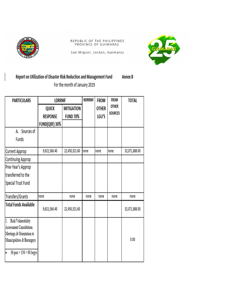 Local Risk Reduction and Management Fund Utilization | PDF