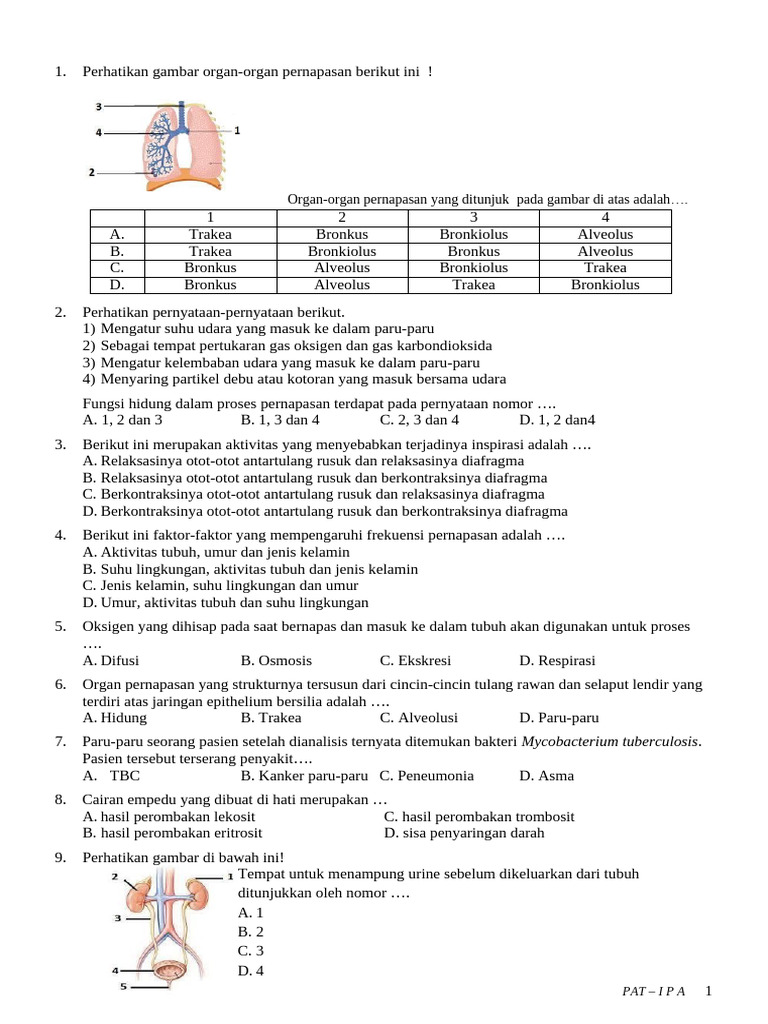 Soal PAT Kelas VIII - IPA | PDF