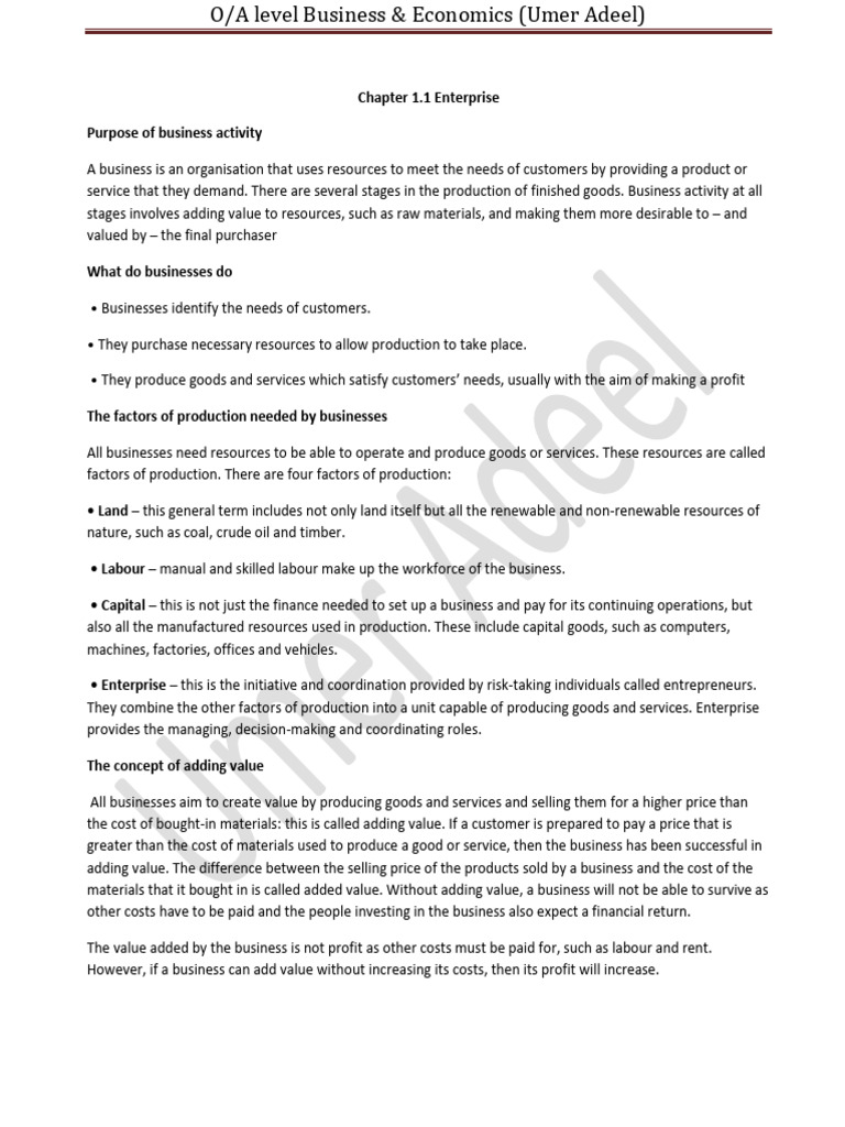 A Level Business Notes | PDF