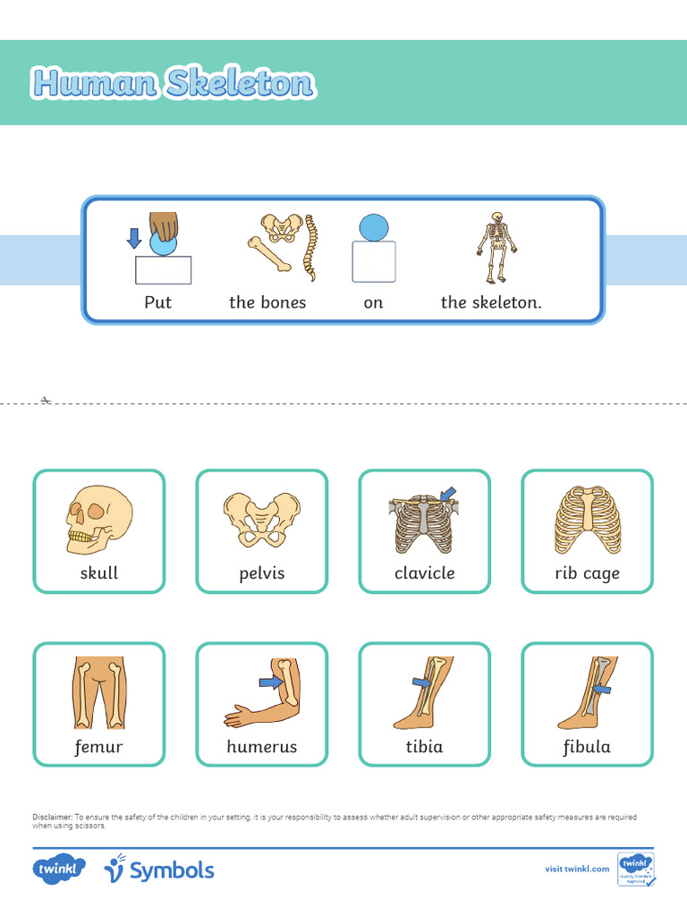 T S 1706109623 Twinkl Symbols Science Animals Including Humans Year 3 ...
