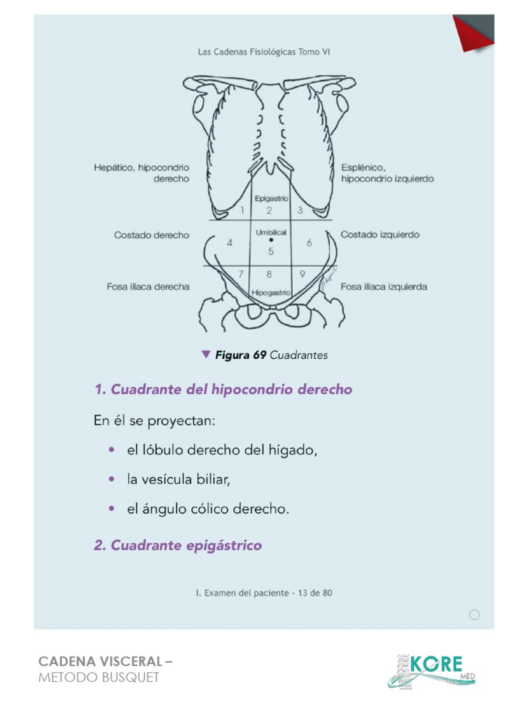 Visceral Busquet | PDF