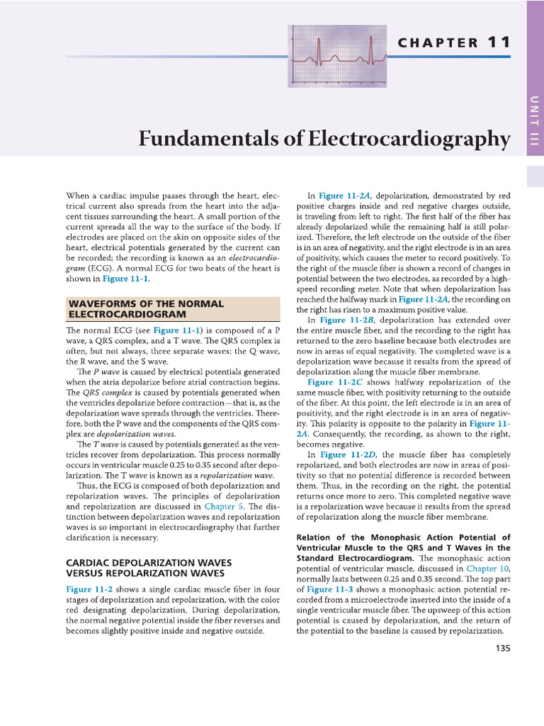 Guyton Ecg | PDF