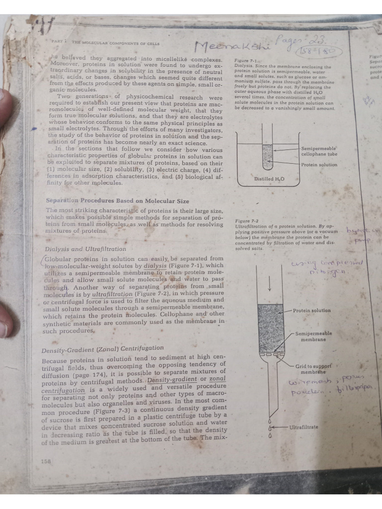 Methods of Isolation of Enzymes Seperation Procedure | PDF