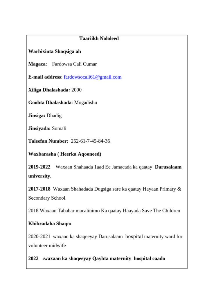 CV Fardowsa Somali | PDF