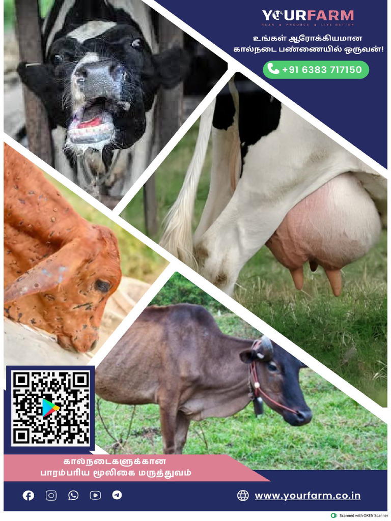 13 Products Tamil Brochure | PDF