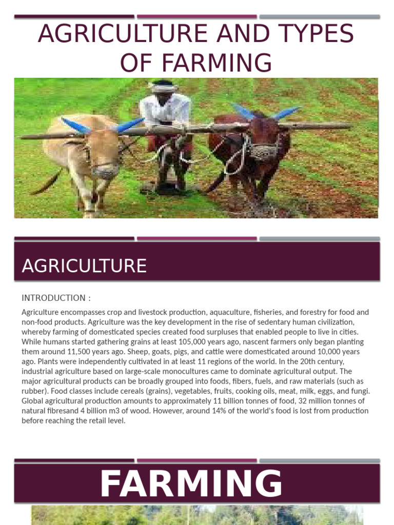 Agriculture and Types of Farming | PDF