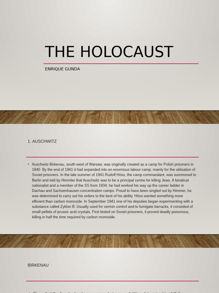 The Holocaust | PDF