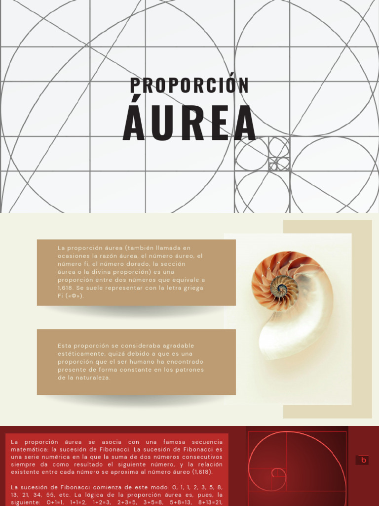 Proporcion Aurea | PDF