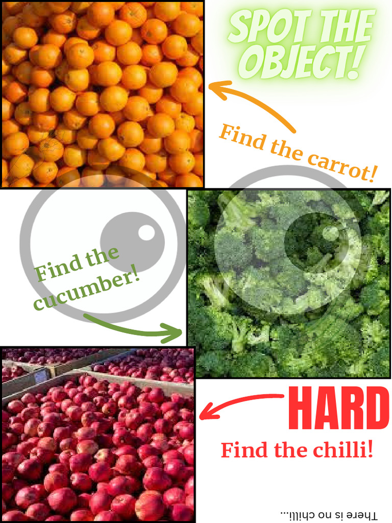 SPOT The Object! | PDF