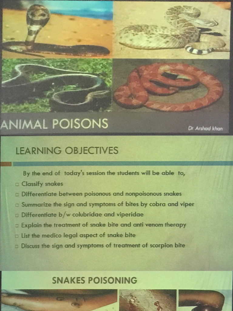 animal poisons (snakes) _copy | PDF
